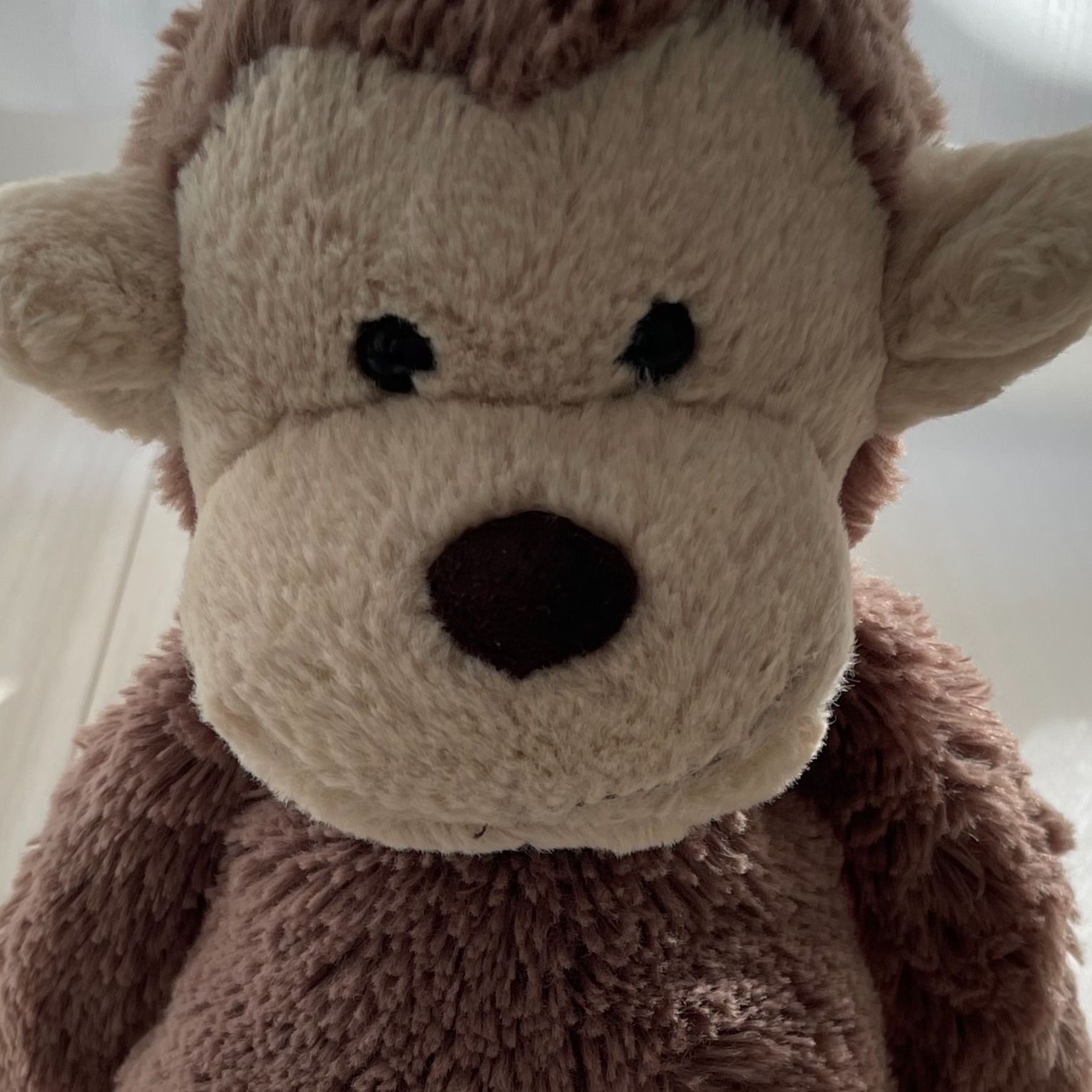 max_the_monkey | COMSA